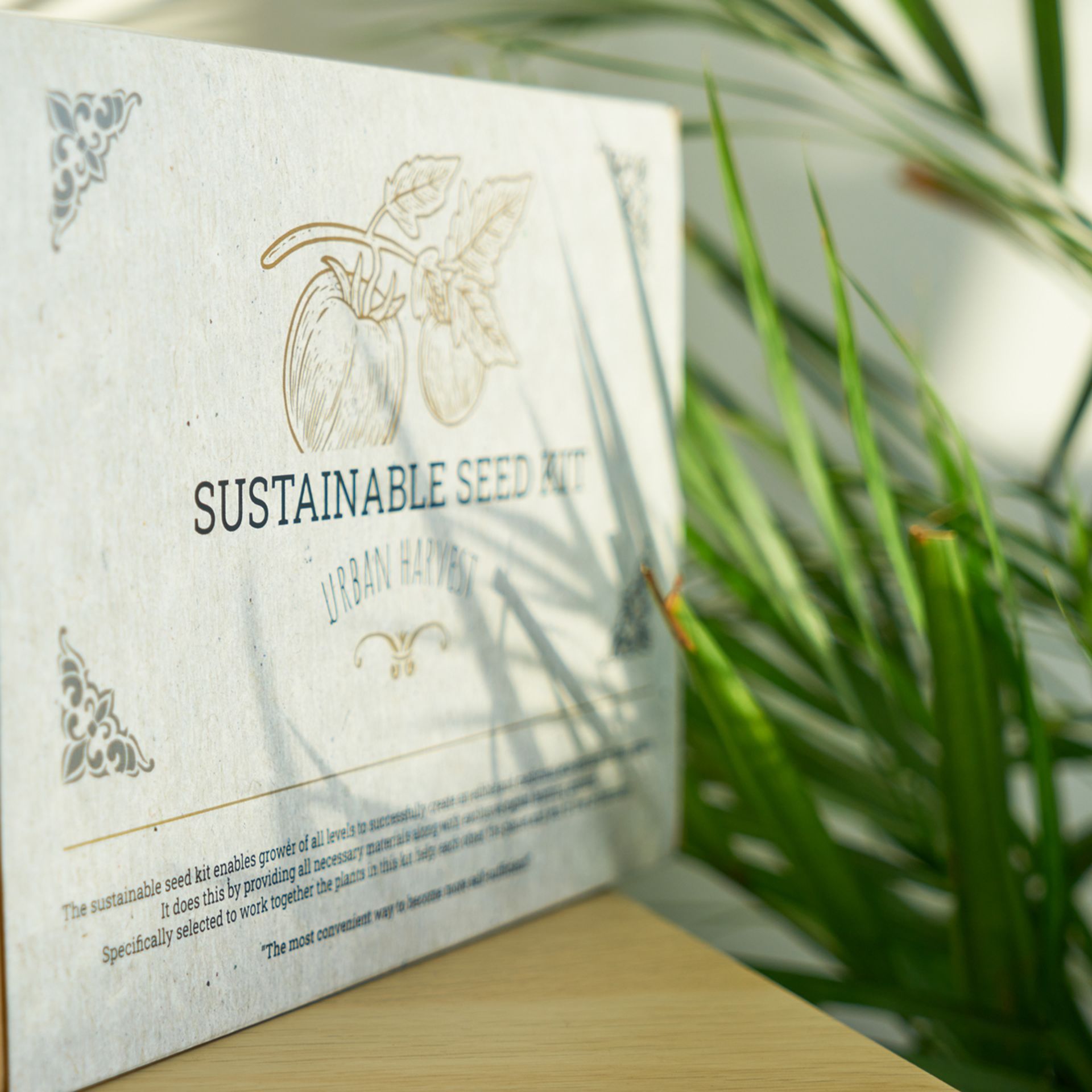 Spicy Mustache Fully Sustainable Seed Kit01 | Spicy Moustache