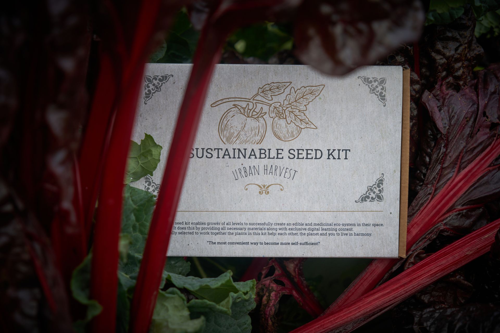 Spicy Mustache Fully Sustainable Seed Kit04 – Spicy Moustache