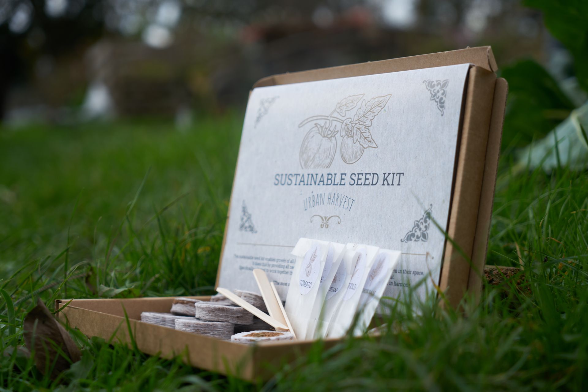 Spicy Mustache Fully Sustainable Seed Kit05 | Spicy Moustache