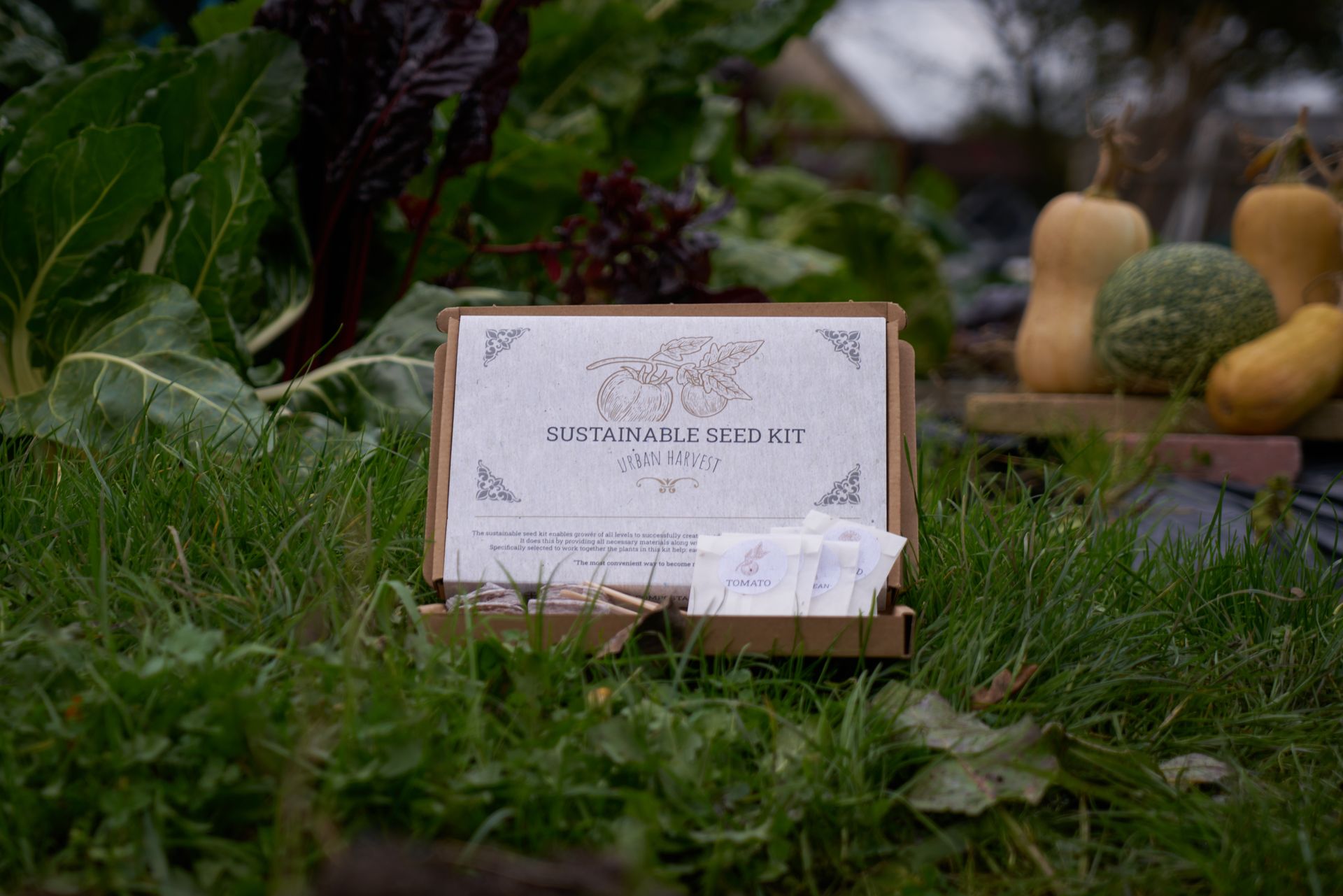 Spicy Mustache Fully Sustainable Seed Kit06 – Spicy Moustache