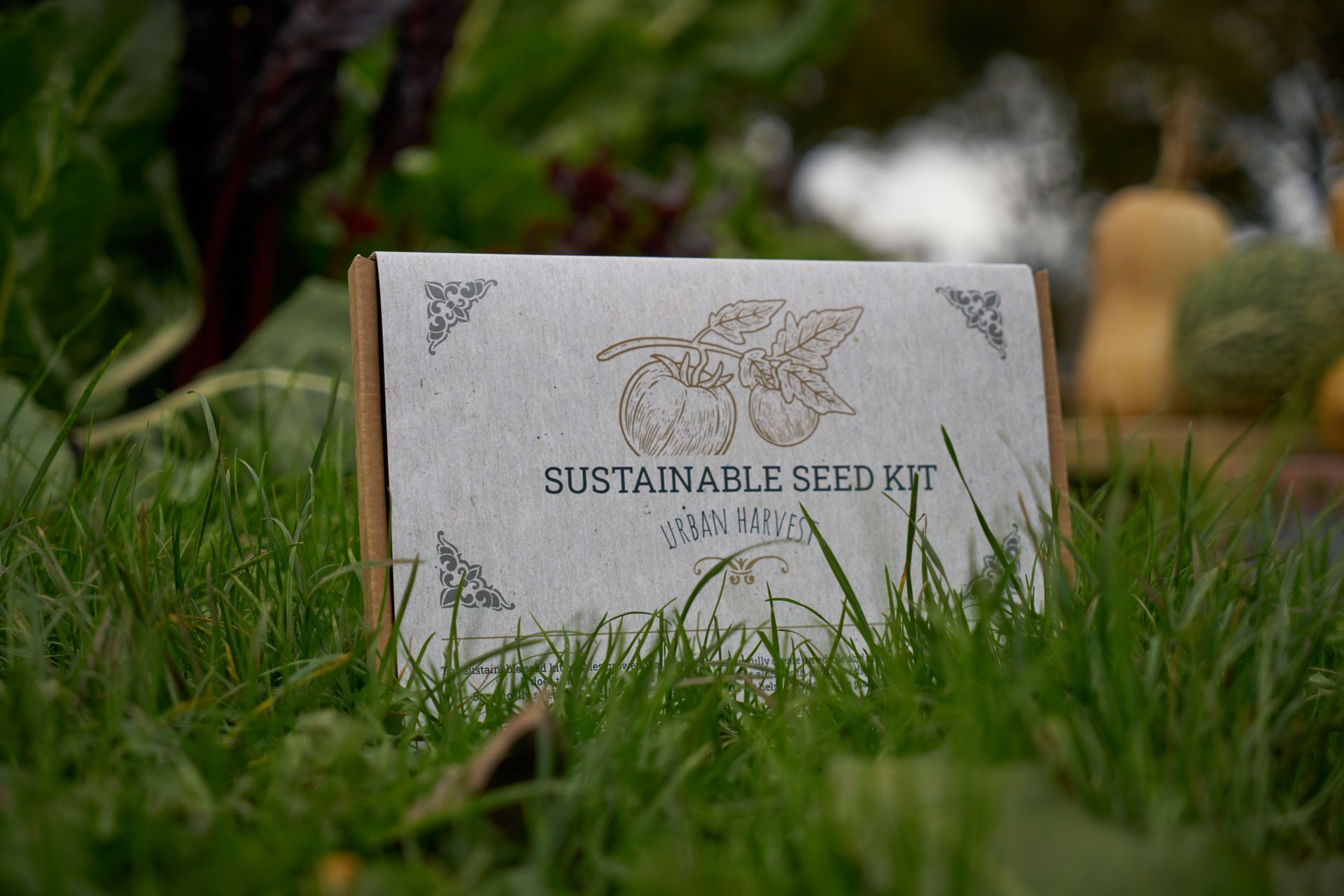 Spicy Mustache Fully Sustainable Seed Kit07 | Spicy Moustache