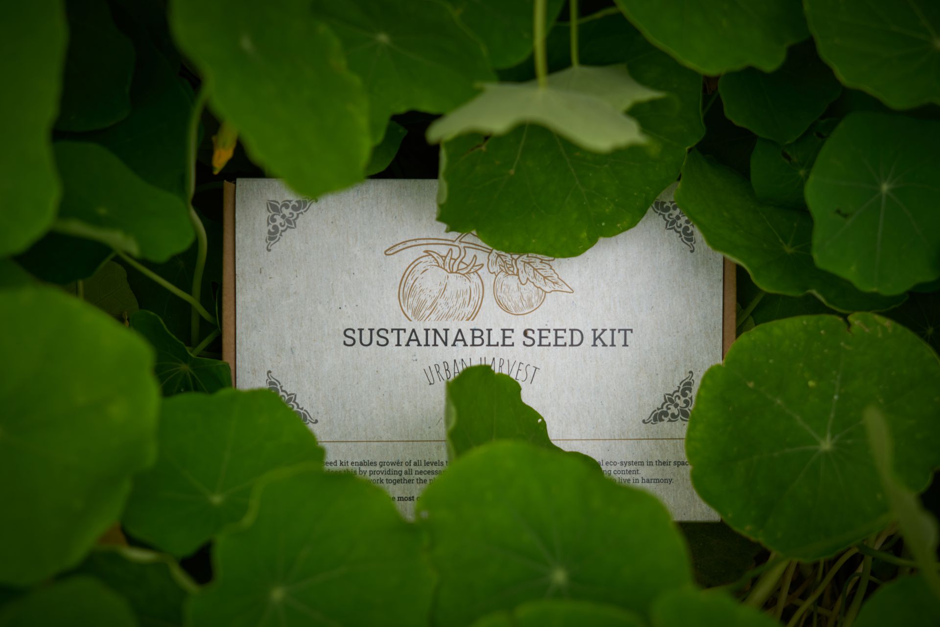 Spicy Mustache Fully Sustainable Seed Kit09 | Spicy Moustache
