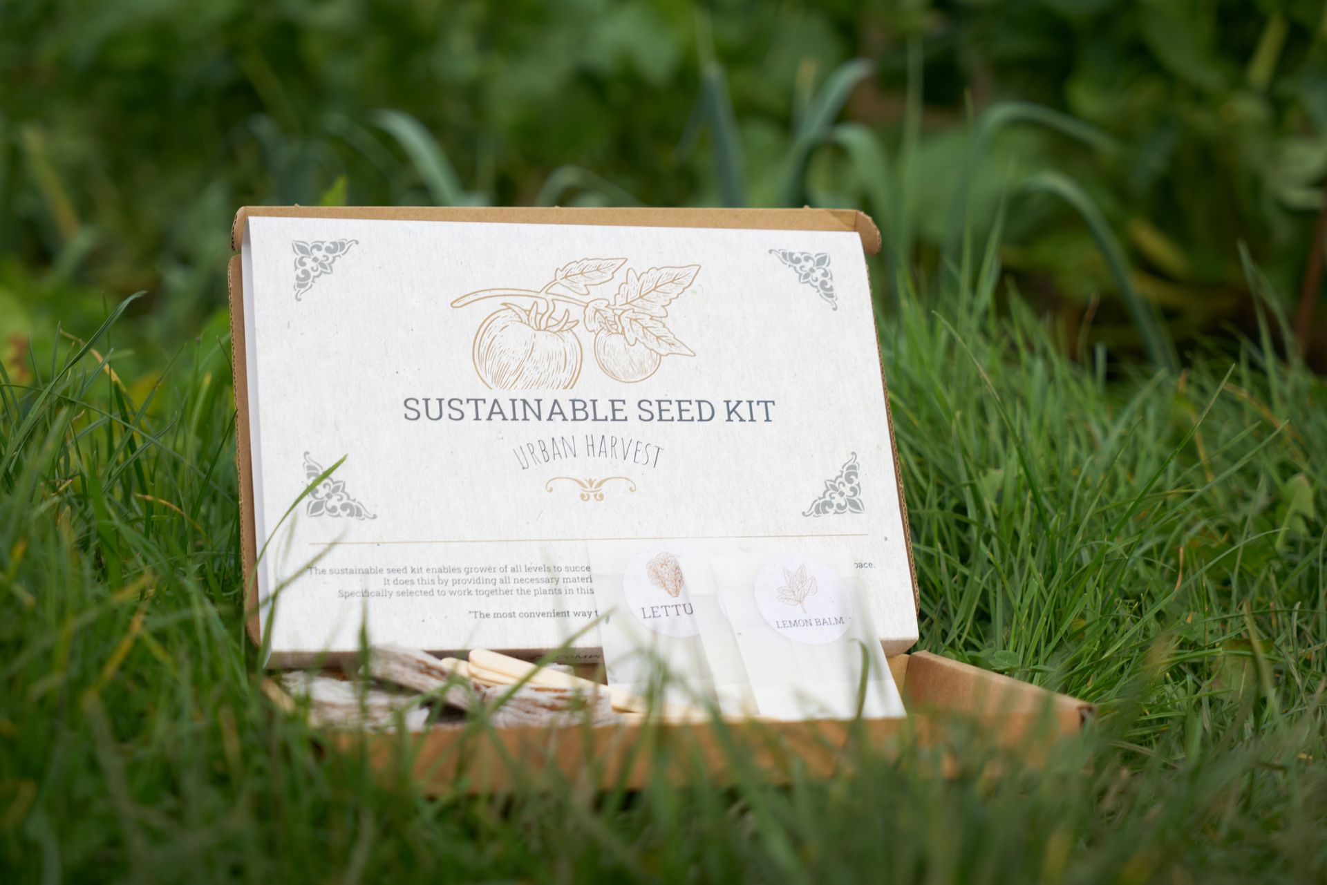 Spicy Mustache Fully Sustainable Seed Kit12 | Spicy Moustache