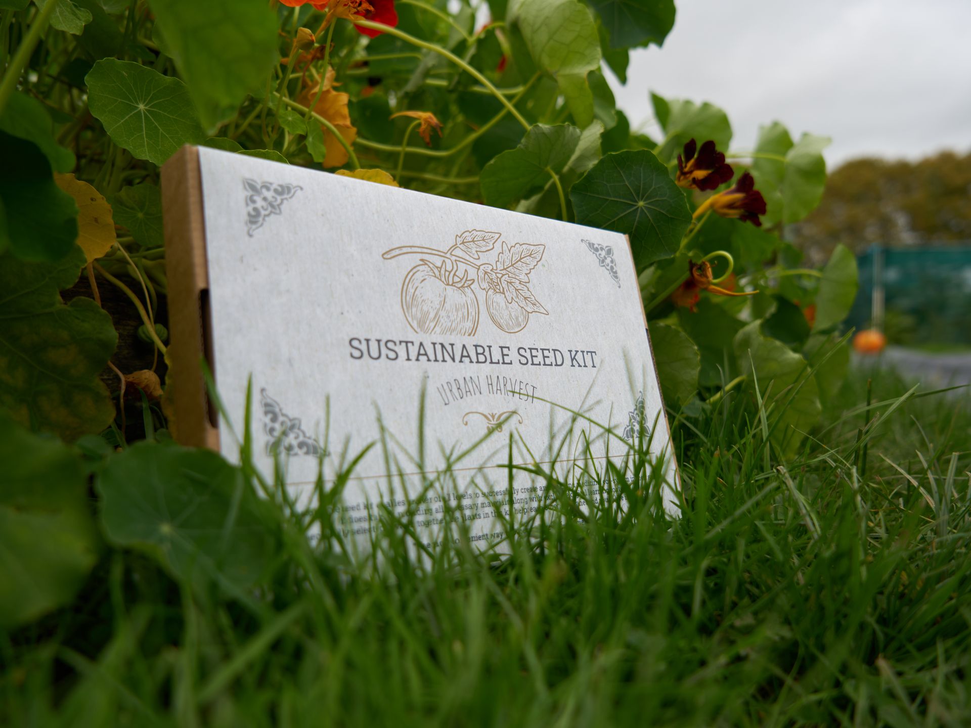 Spicy Mustache Fully Sustainable Seed Kit13 – Spicy Moustache