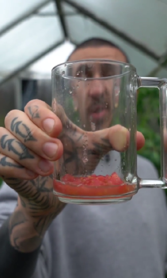 seeds | Spicy Moustache
