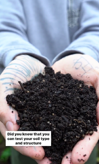 soil type - Spicy Moustache