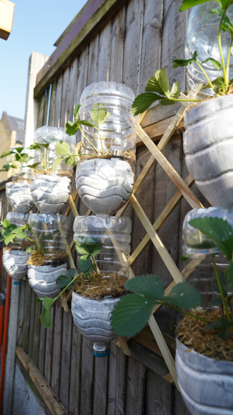 Transform Your Space: The Ultimate Guide to DIY Vertical Gardening ...