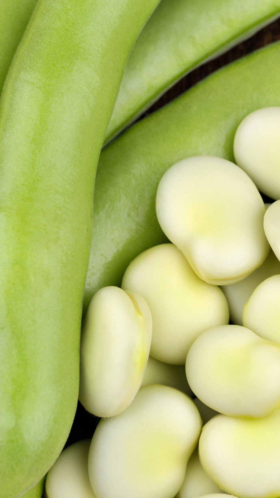 Discover the Magic of Broad Beans Tofu: A Nutritious Delight for Your ...