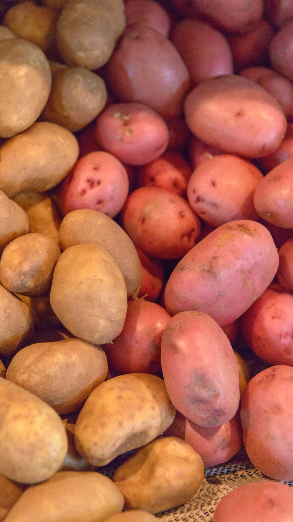 Simple Steps To Grow Your Potatoes In Container (Home And Beginner ...