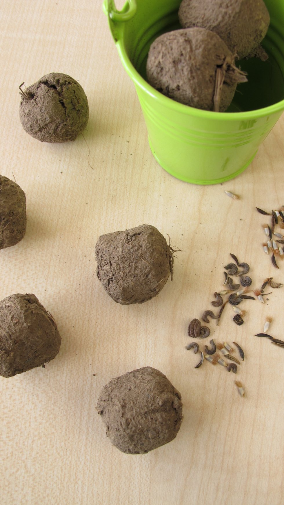 Seed Bombs: The Fun and Easy Way to Plant Flowers Anywhere ...
