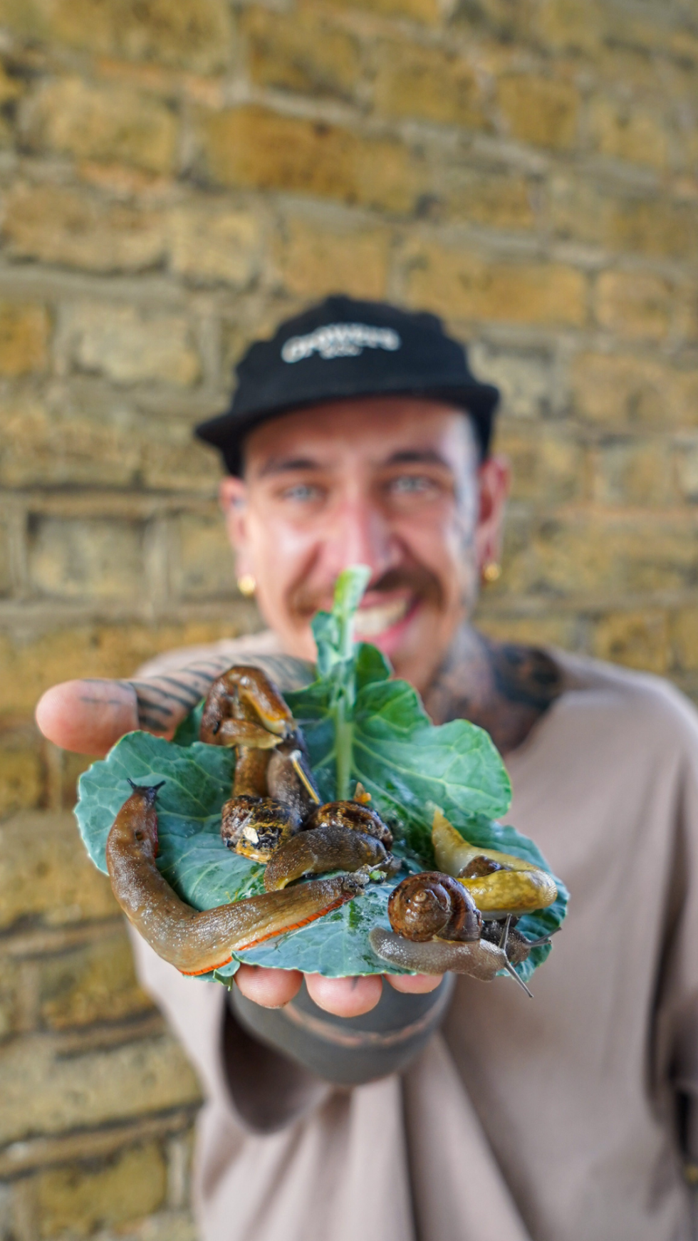 How To Repel Slugs and Snails: A Gentle Approach to Protecting Your ...