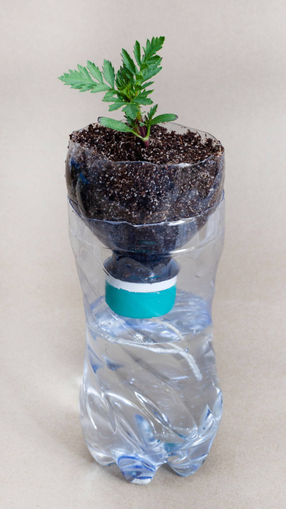DIY Watering Systems: Sustainable Solutions for Your Garden (Simple and ...