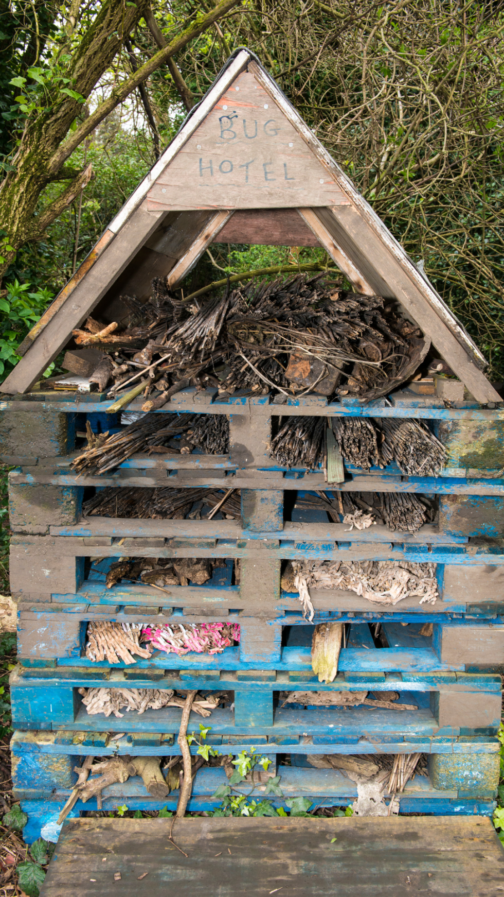 How To Create Insect Hotels and Beneficial Bugs: Simple and Cozy Spot ...