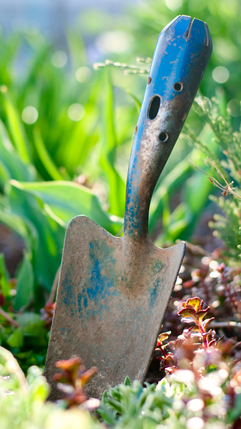 Choosing the Right Garden Tools: A Complete Guide for Every Gardener ...