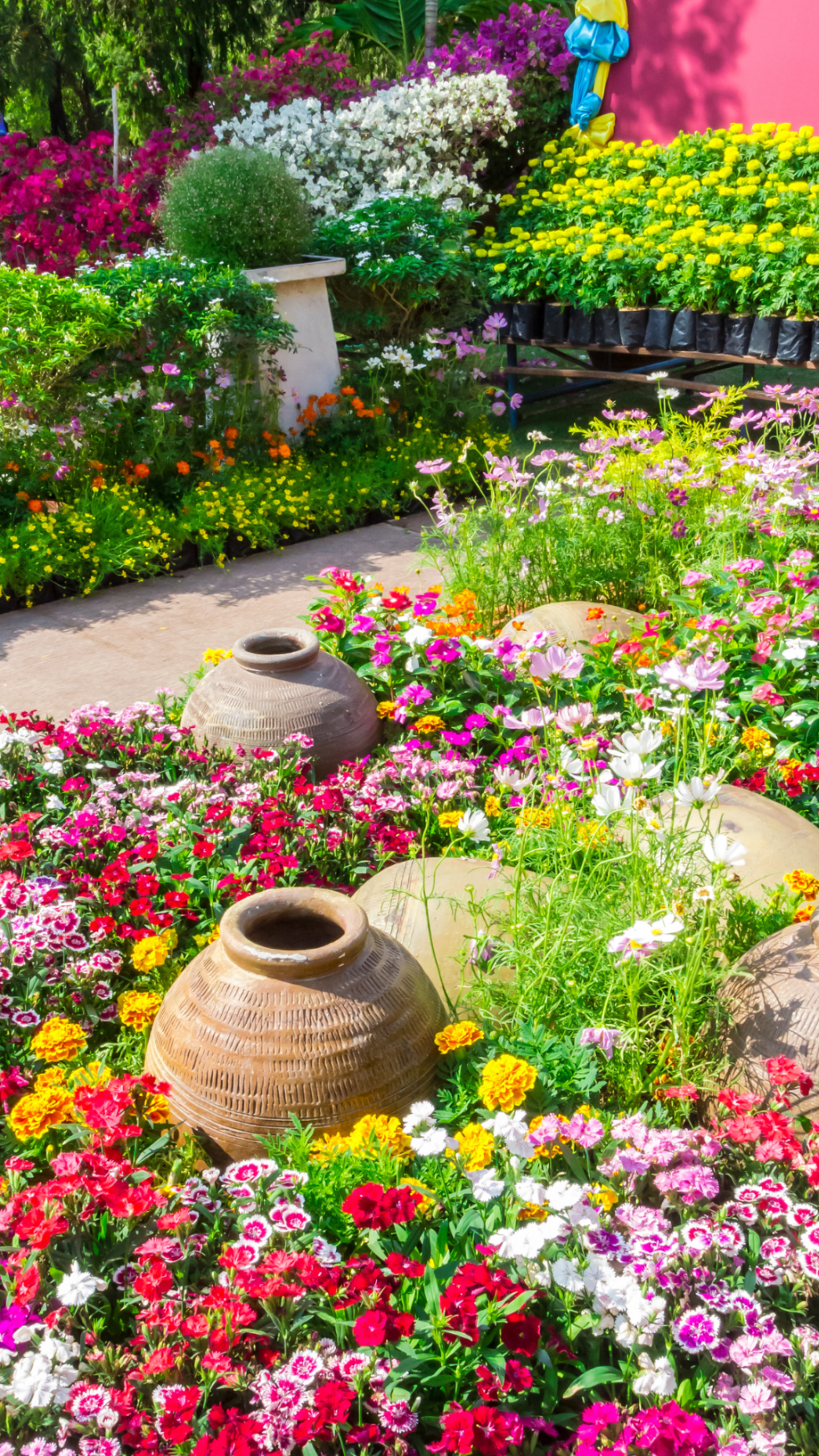 Gardening Safety Tips: An Easy Guide to Safe and Fun Gardening | Spicy ...
