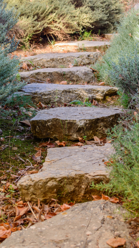 How to Build a Natural Stone Garden Path: A Step-by-Step Guide - Tips ...