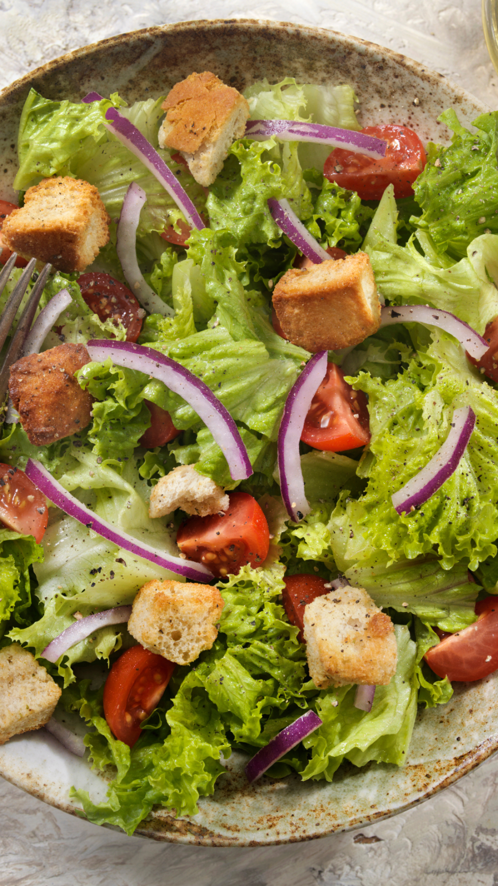 How To Grow Your Own Salad Garden: Guide to Freshness, Fun, and Flavor ...