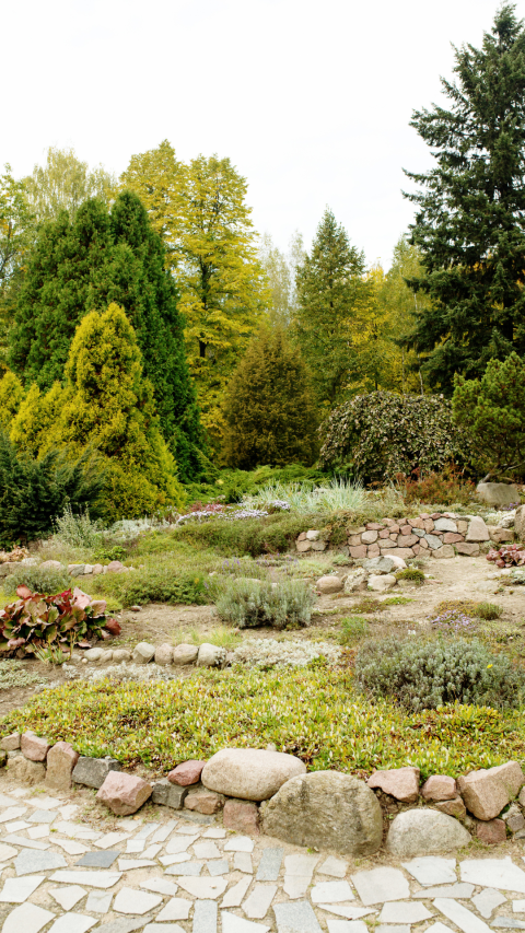 How To Start Alpine Gardening: Creating Your Slice of Mountain Paradise ...